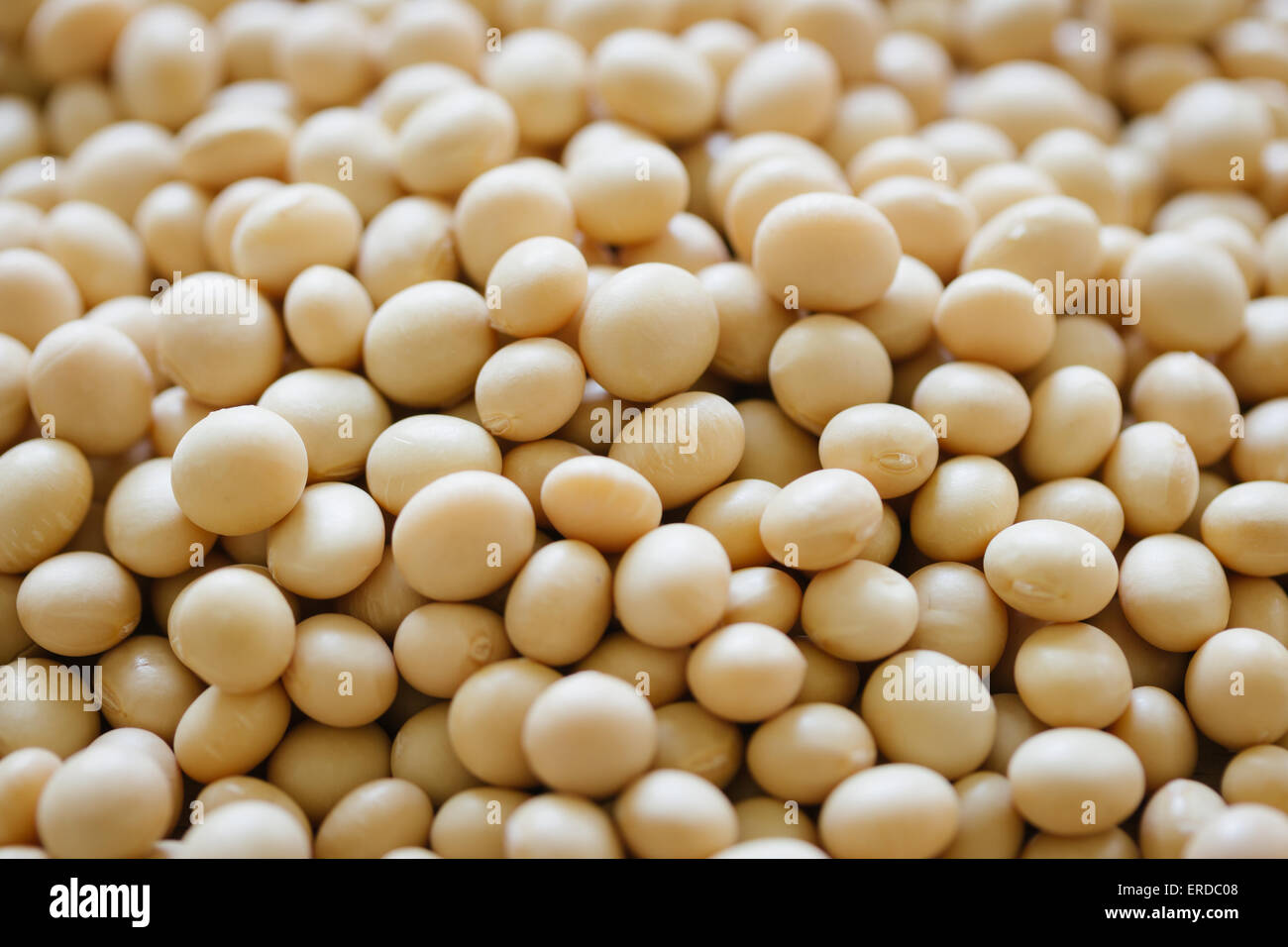 Soybean grain hi-res stock photography and images - Alamy