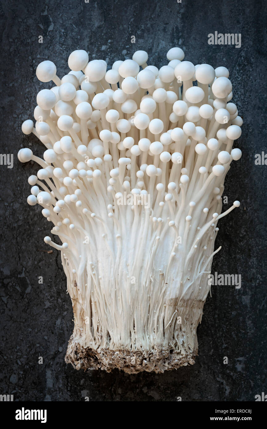White enoki mushrooms bunch on grey background Stock Photo - Alamy