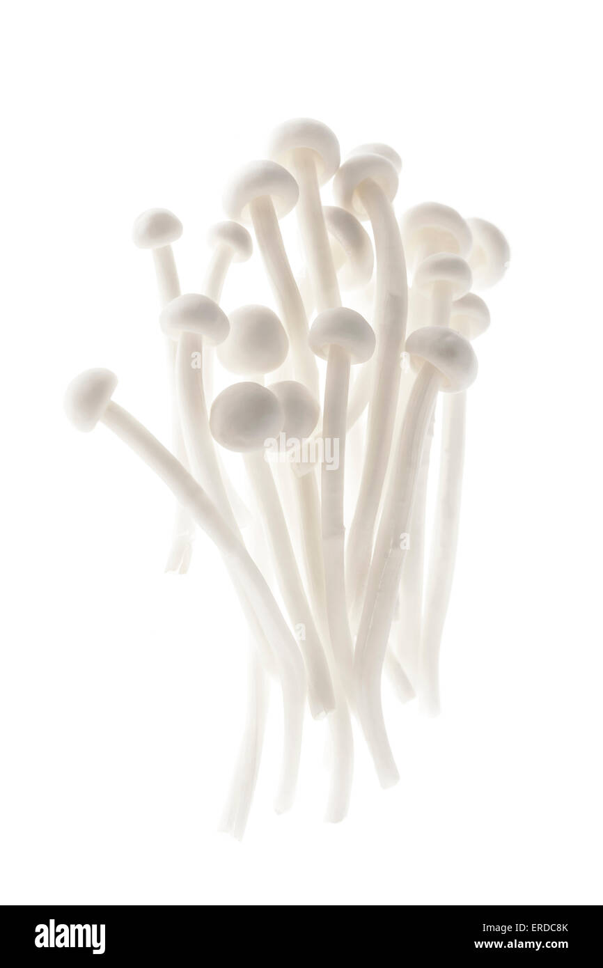 Several enoki mushrooms isolated on white background Stock Photo - Alamy
