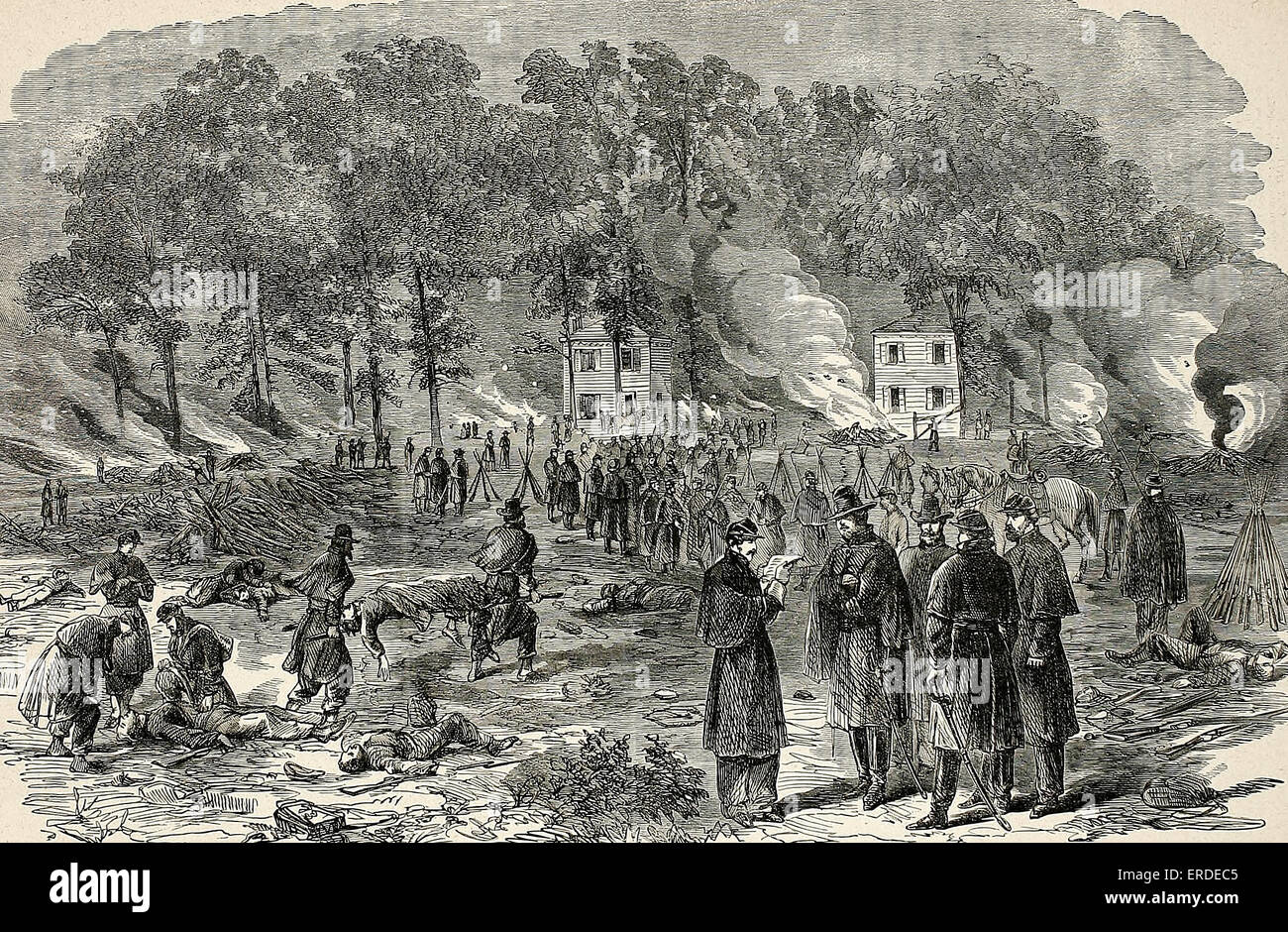 Dead horses hi-res stock photography and images - Alamy