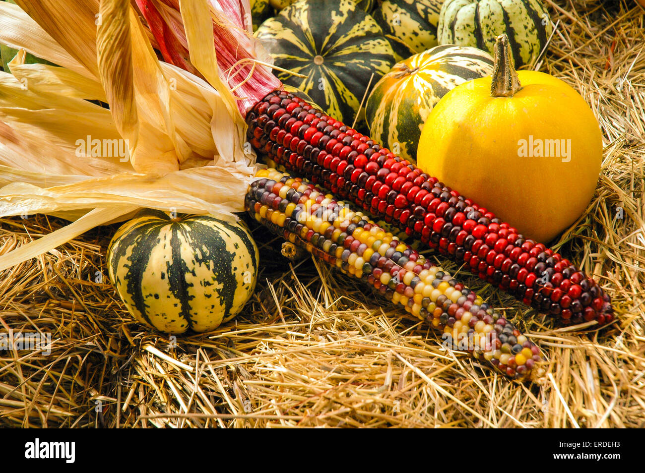 Harvest Mexican corn with gourds on a bale of hay Stock Photo - Alamy
