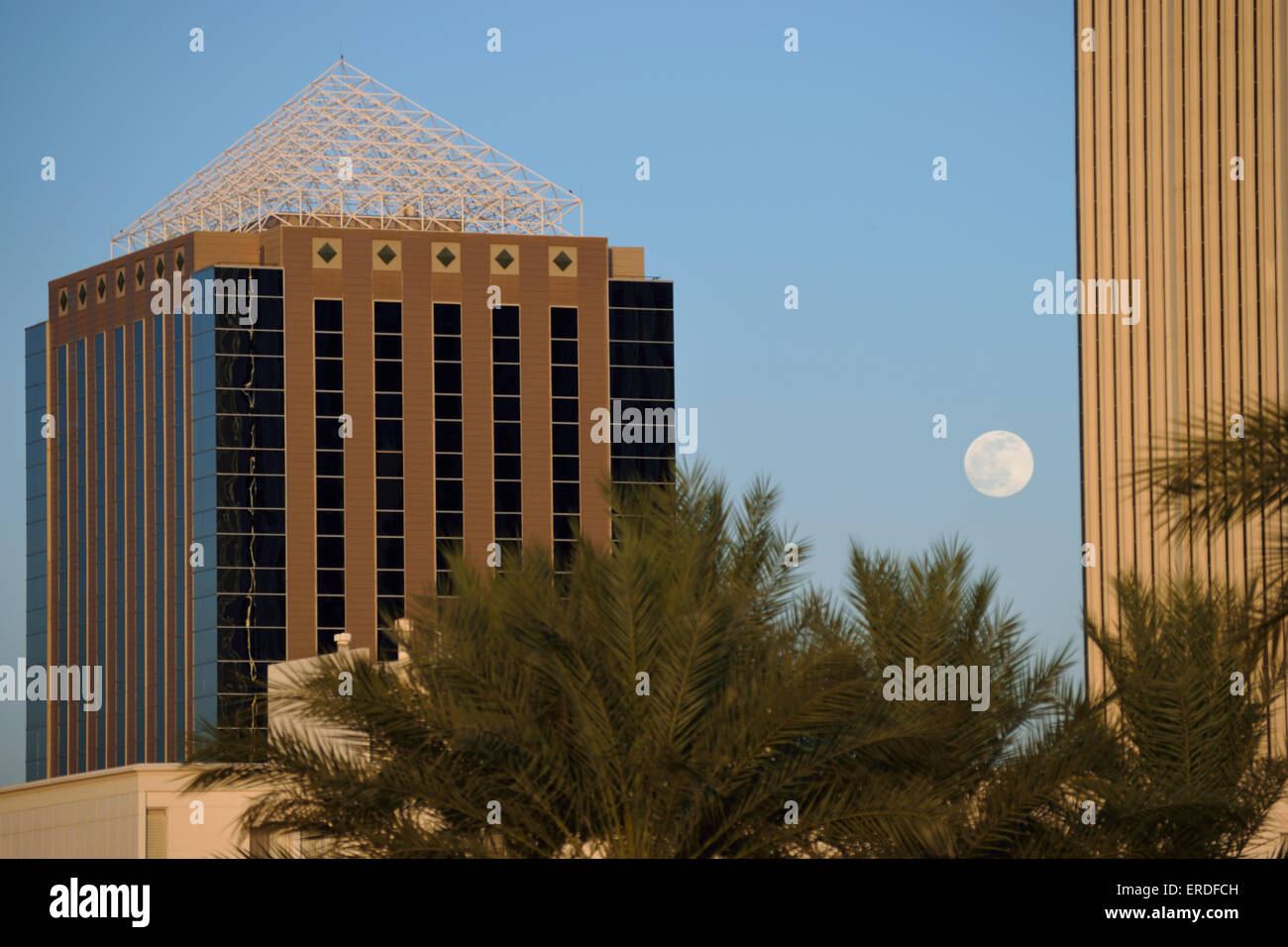 Full moon rising between buildings over palm trees in phoenix Stock ...