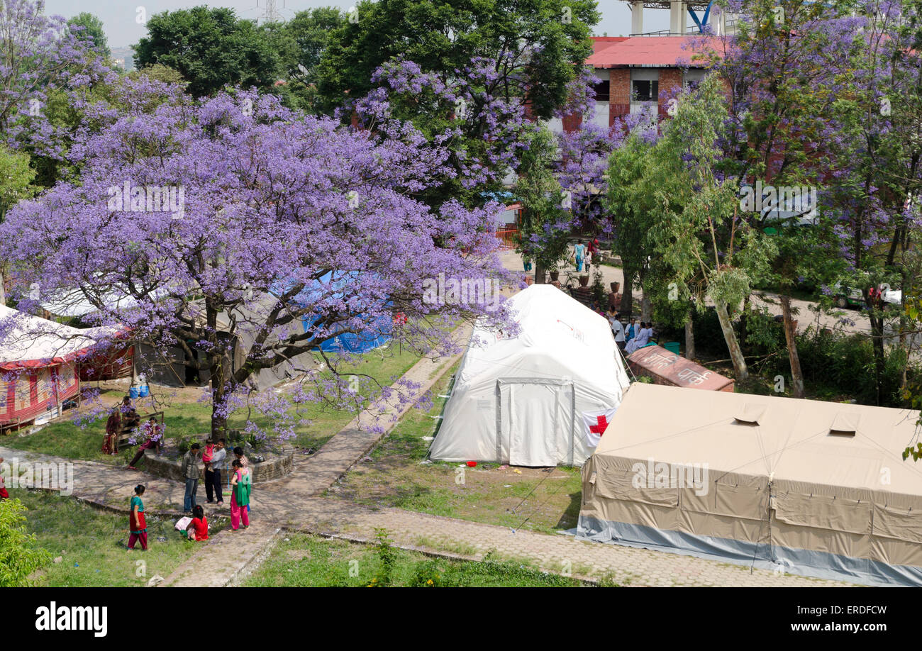 Nepal Earthquake: Temporary medical camp outside of Bhaktapur Hospital ...