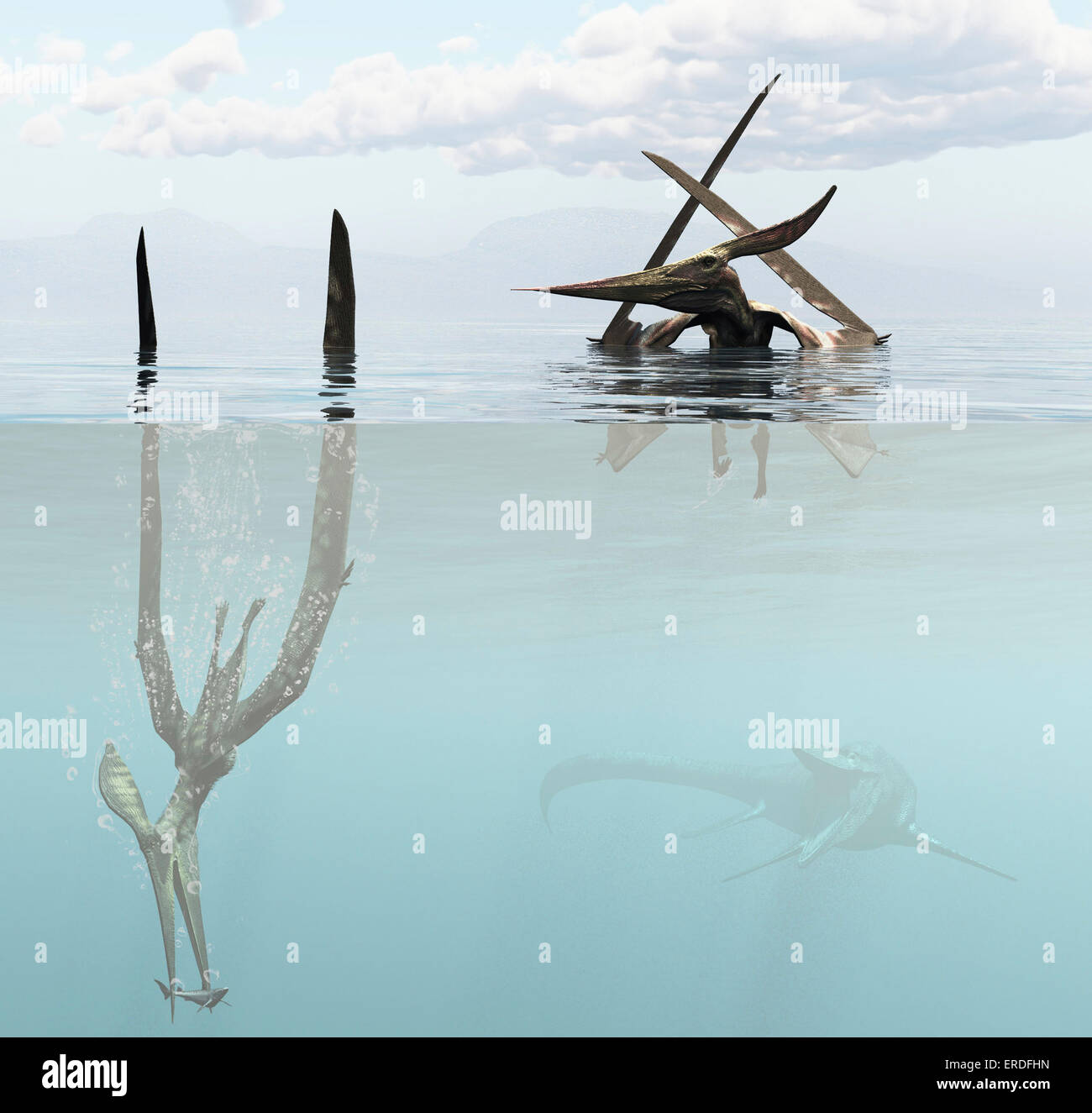 Pteranodon pterosaur diving underwater hunting for fish. Pteranodon ...