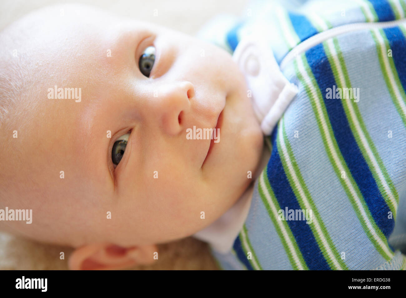 Portrait 7 week old baby Stock Photo - Alamy