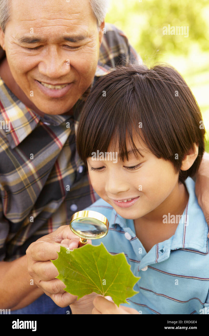 Boy and grandfather examining leaf Stock Photo - Alamy