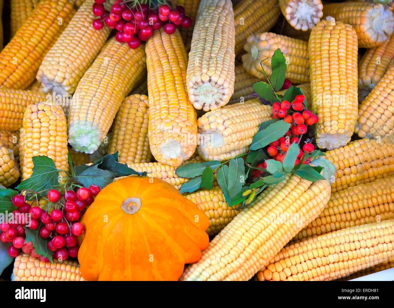 The storefront demonstrate intended for sale at the fair, a variety of ...