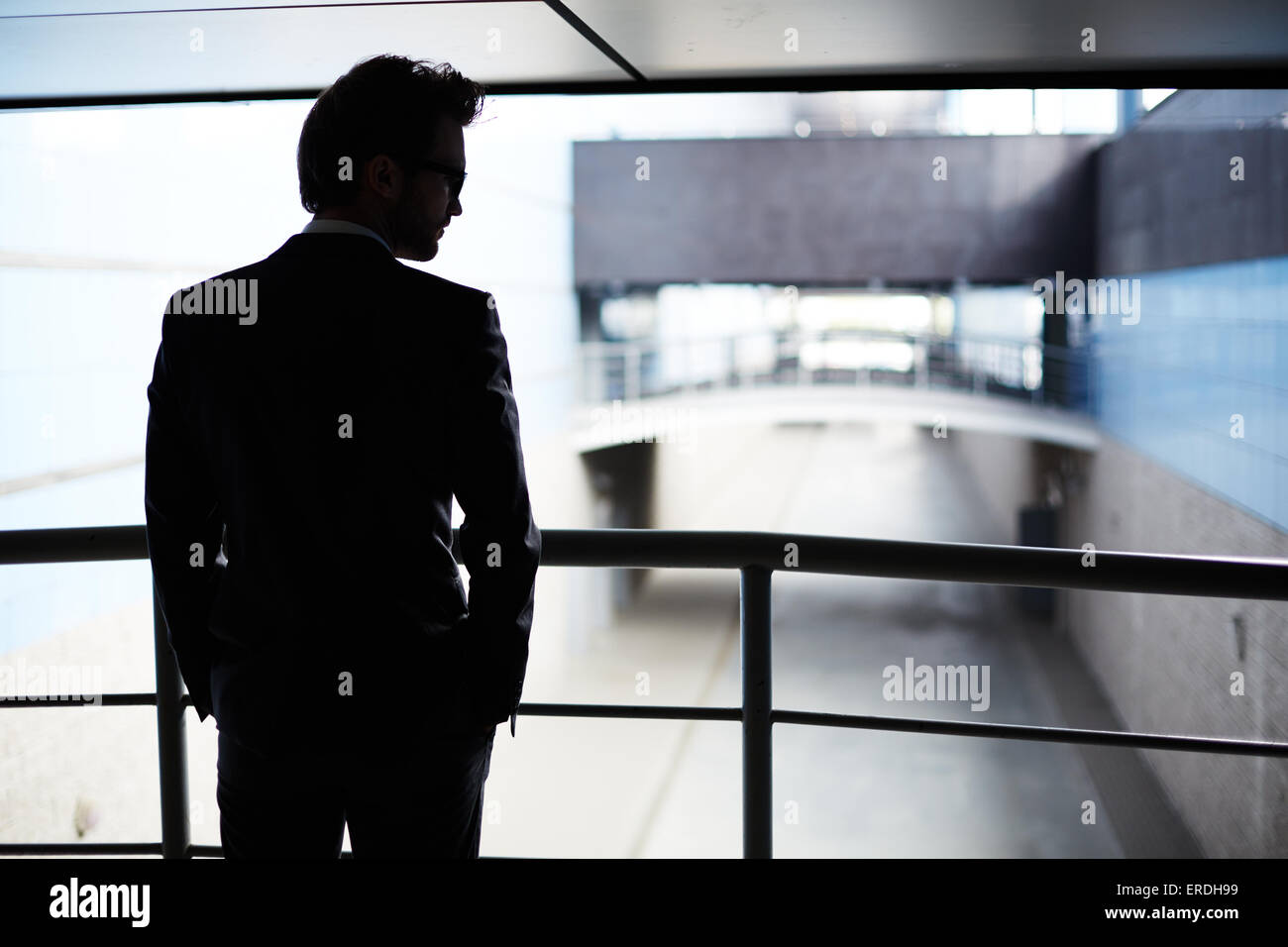 Rear view of young businessman Stock Photo - Alamy