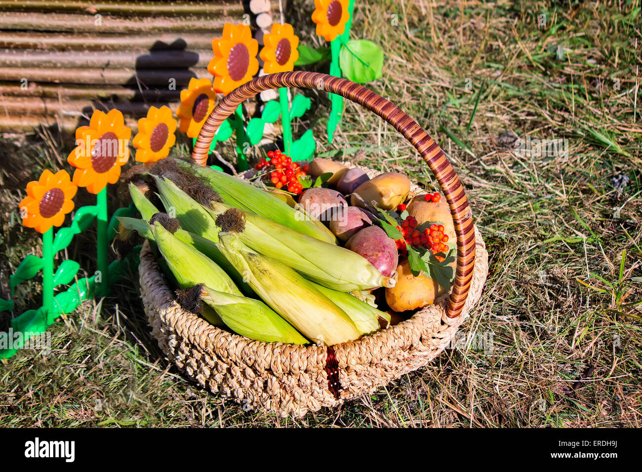 In a beautifully decorated wicker basket sold at the fair crop of fruit ...