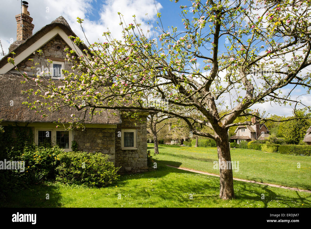 Cottage and apple blossom at Blaise Hamlet - a collection of ...