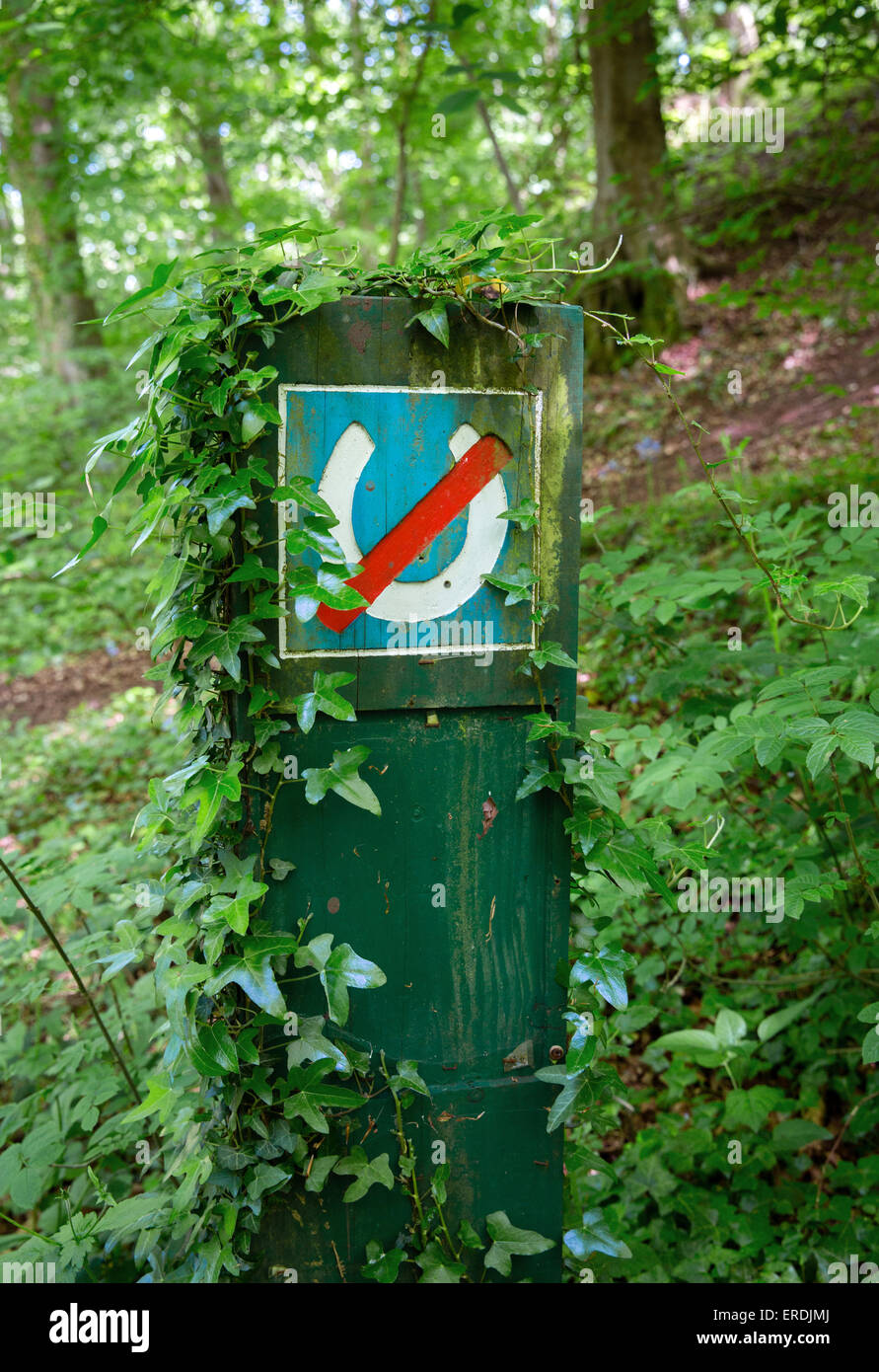 Green sign wood hi-res stock photography and images - Alamy