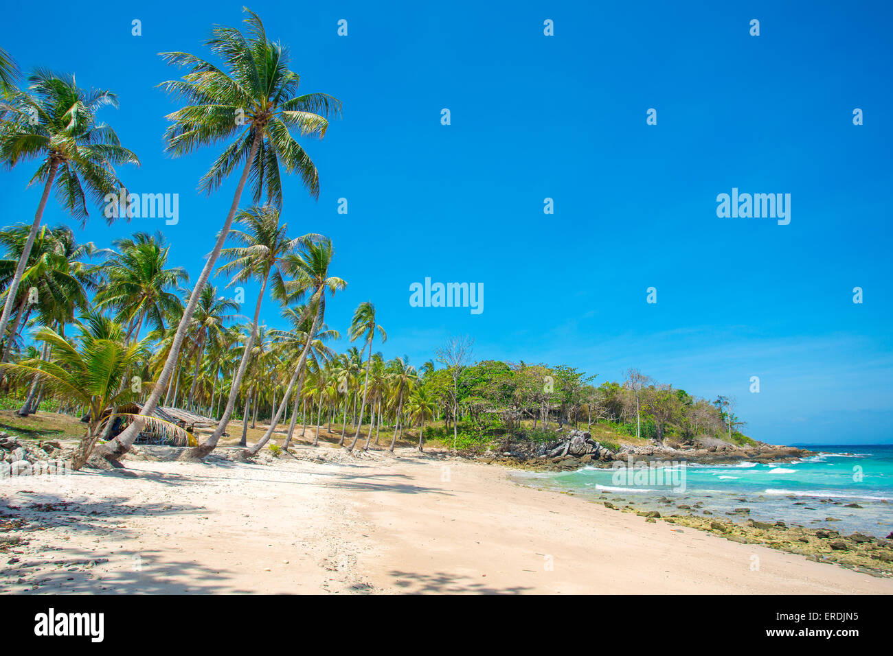 Palm trees over beautiful tropical white sand beach Stock Photo - Alamy