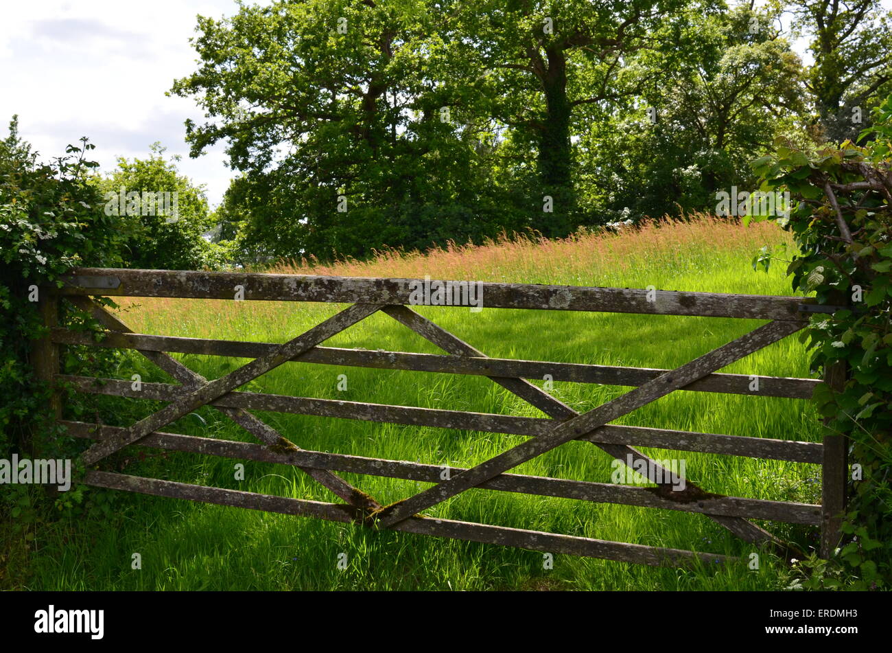 Rustic wood five bar farm gate in the rural county of West Sussex in ...