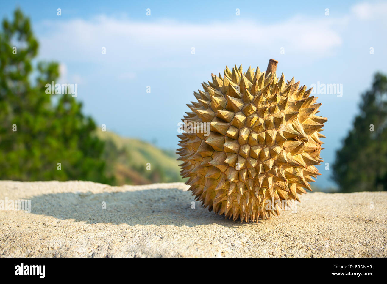 One fruits hi-res stock photography and images - Alamy