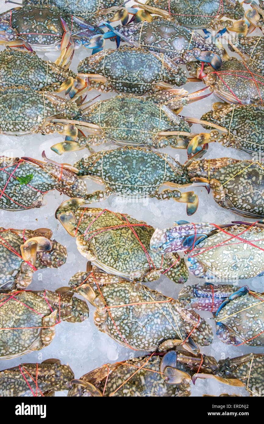 Blue crab on ice at the market, Thailand Stock Photo - Alamy