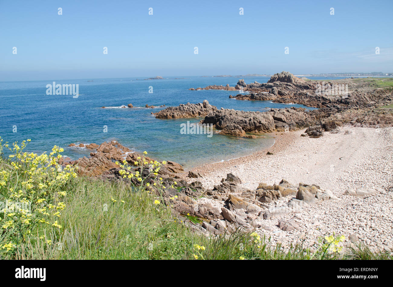 Guerrnsey hi-res stock photography and images - Alamy