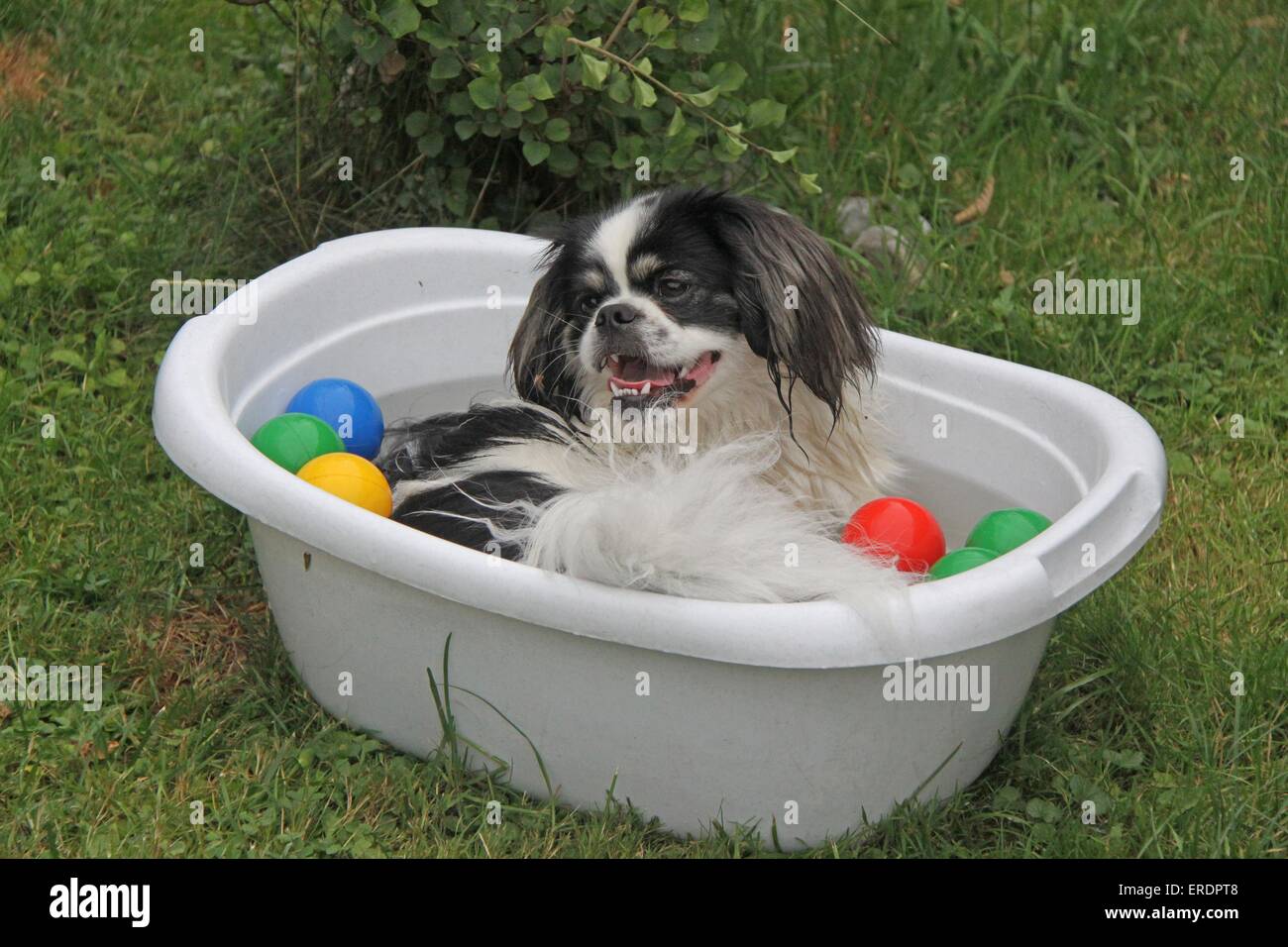 Bathing basin hi-res stock photography and images - Alamy