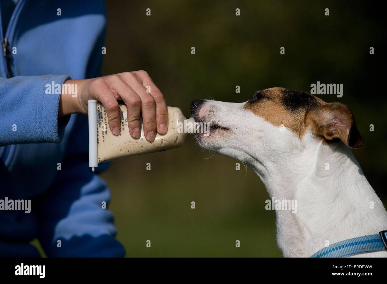 Sunny treat hi-res stock photography and images - Alamy