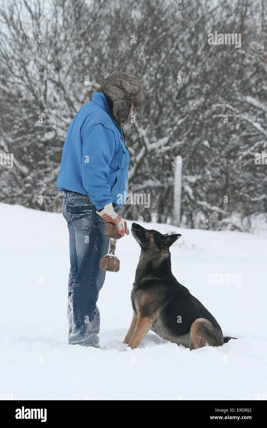 Man german shepherd hi-res stock photography and images - Alamy