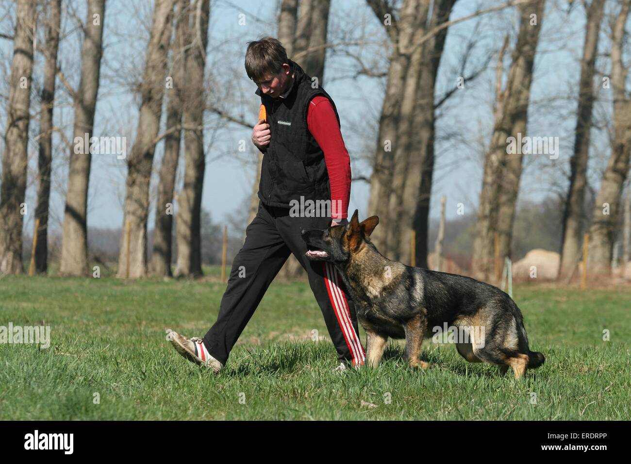 man and German Shepherd Stock Photo - Alamy