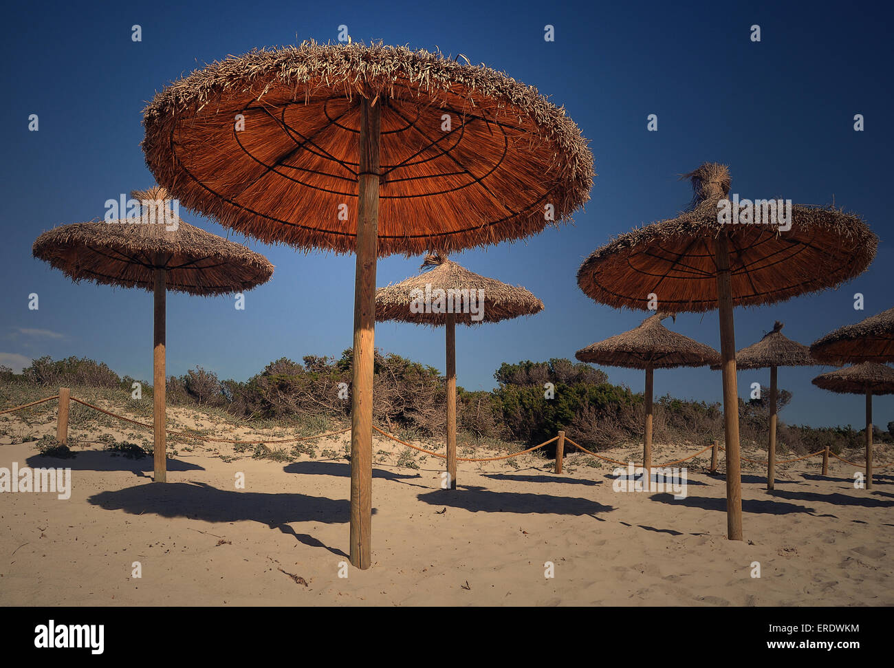 Straw beach umbrellas at es trenc hi-res stock photography and images ...