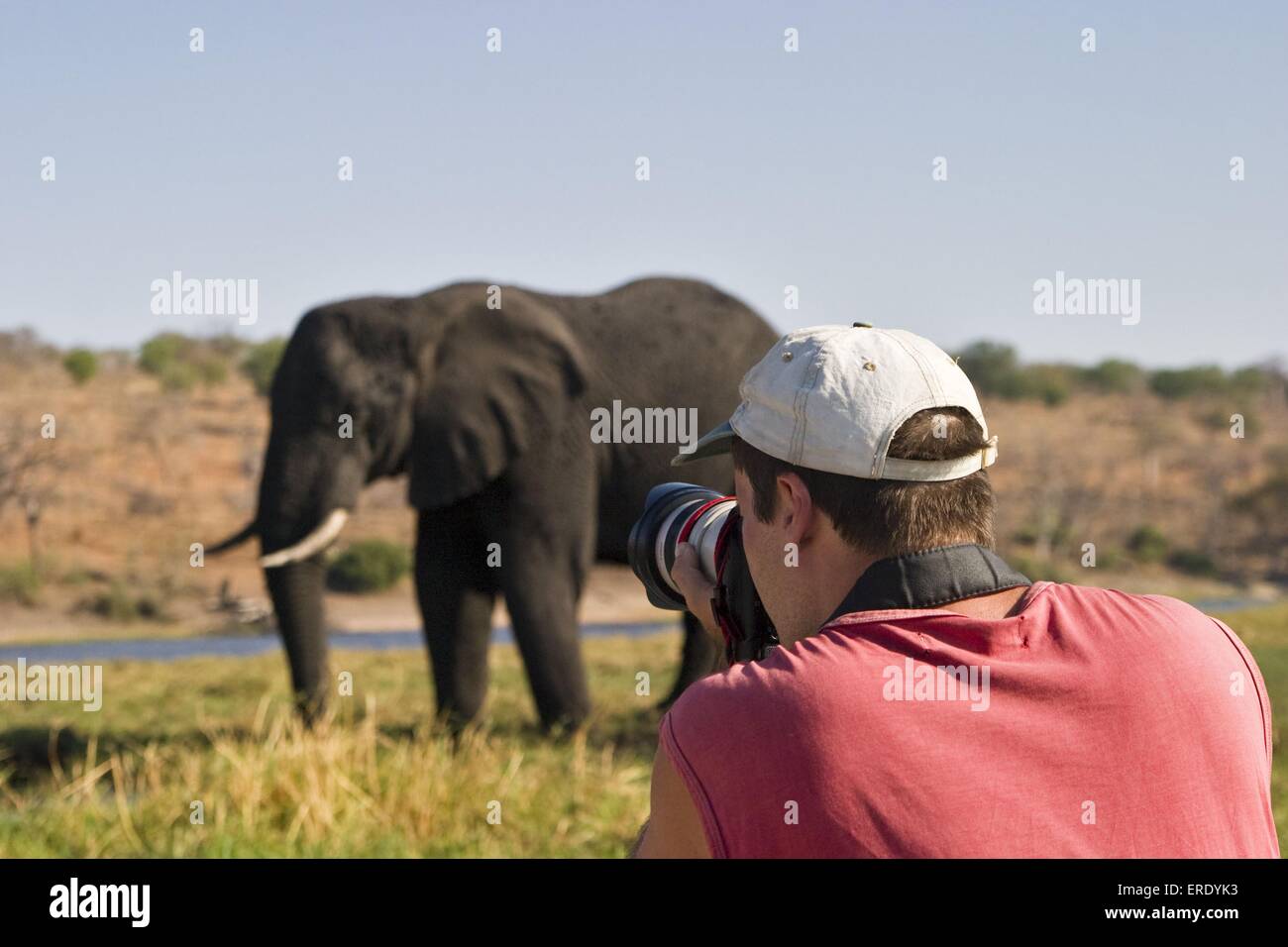 African elephant man hi-res stock photography and images - Alamy