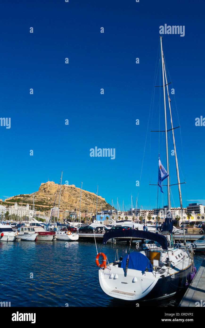 Port, Alicante, Alacant, Costa Blanca, Spain Stock Photo - Alamy