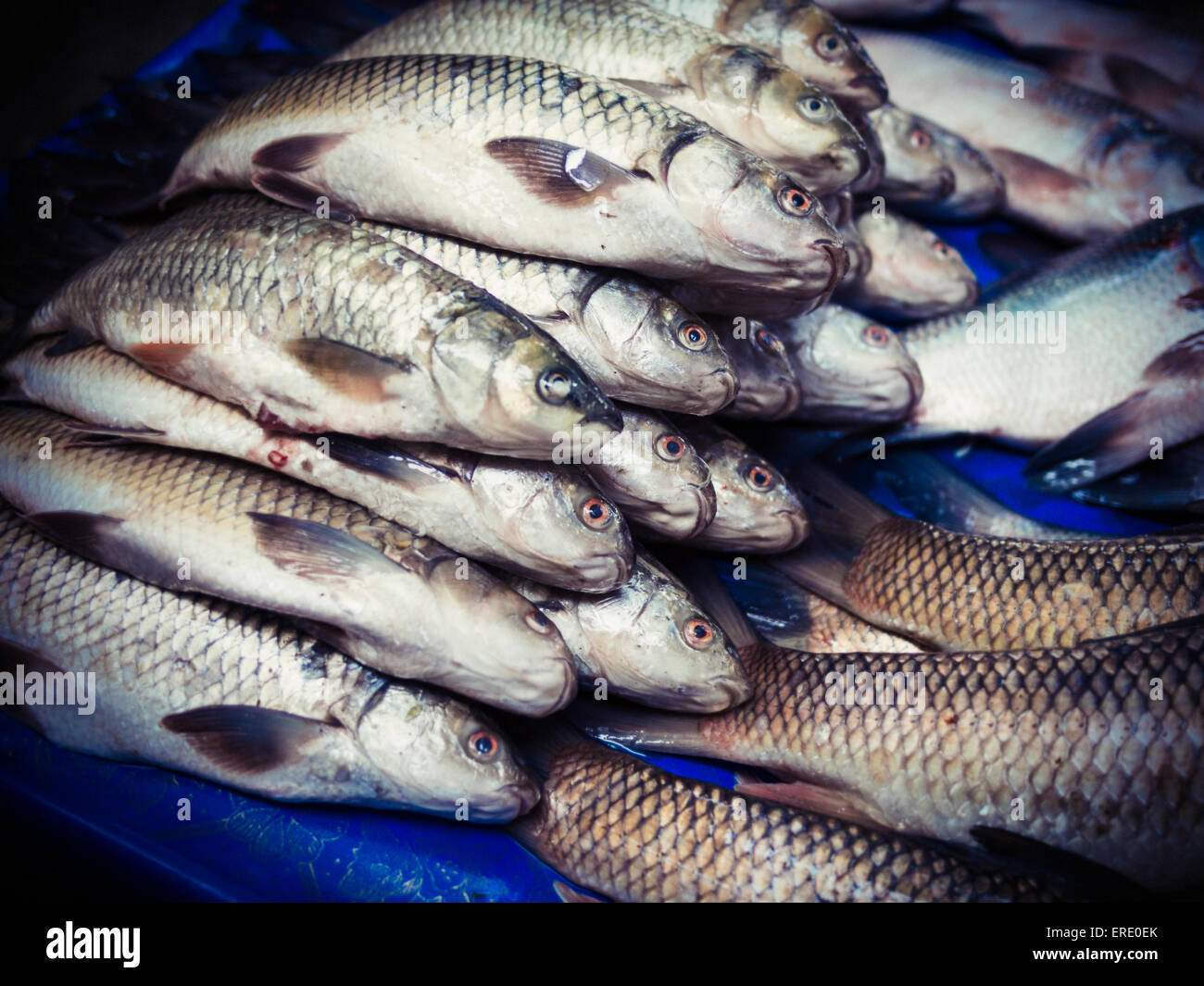 Fish for sale hi-res stock photography and images - Alamy