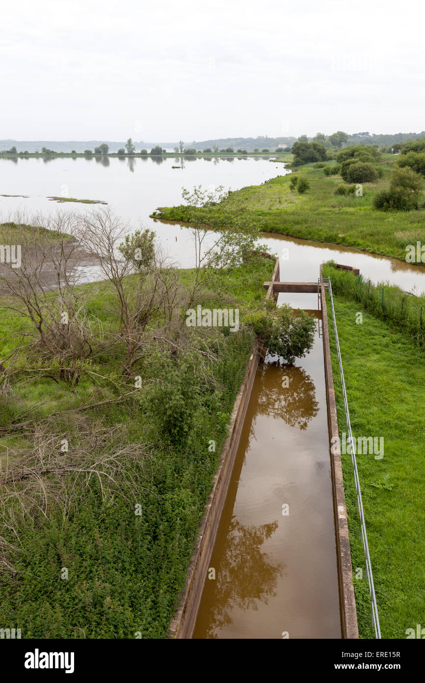 Well vegetated wetlands hi-res stock photography and images - Alamy