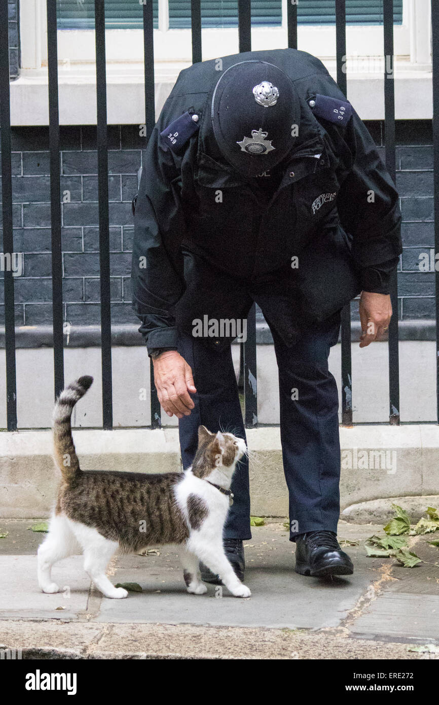 Pms cat hi-res stock photography and images - Alamy