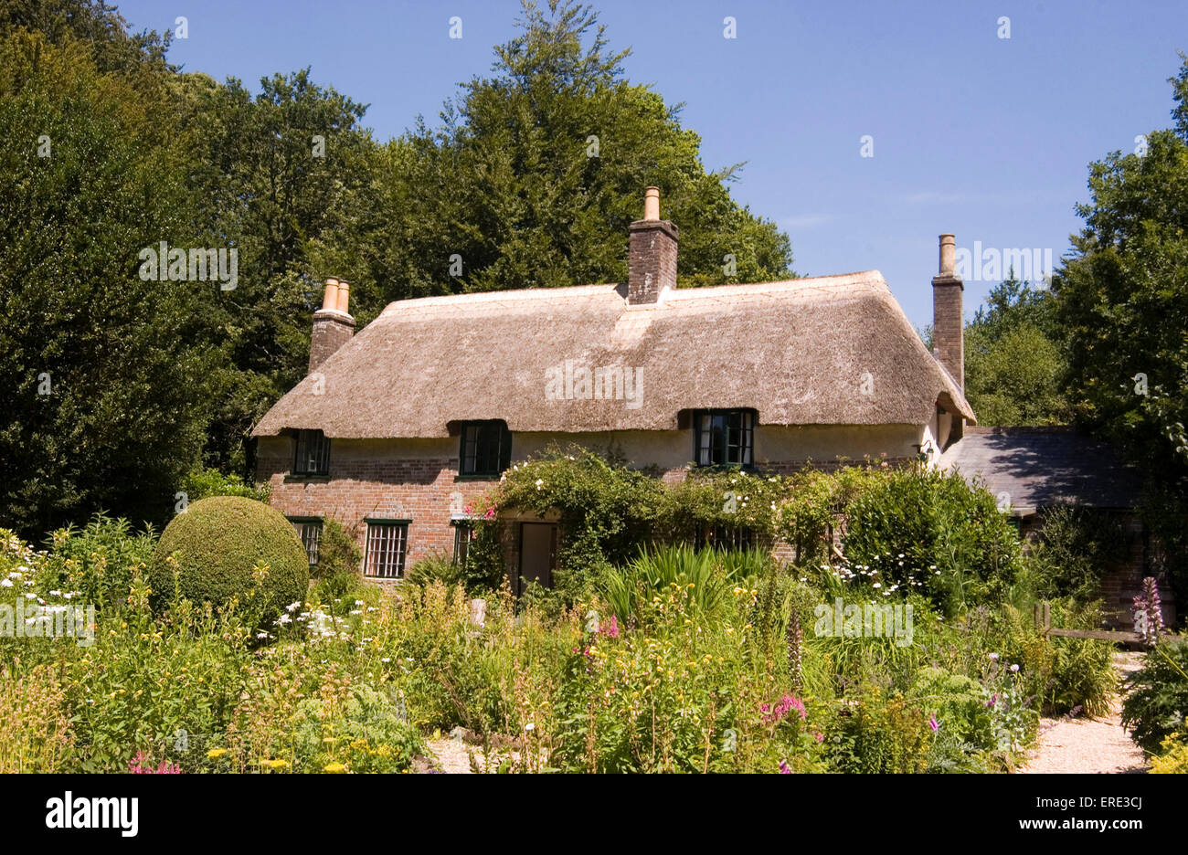 Hardy birthplace higher bockhampton in hi-res stock photography and ...