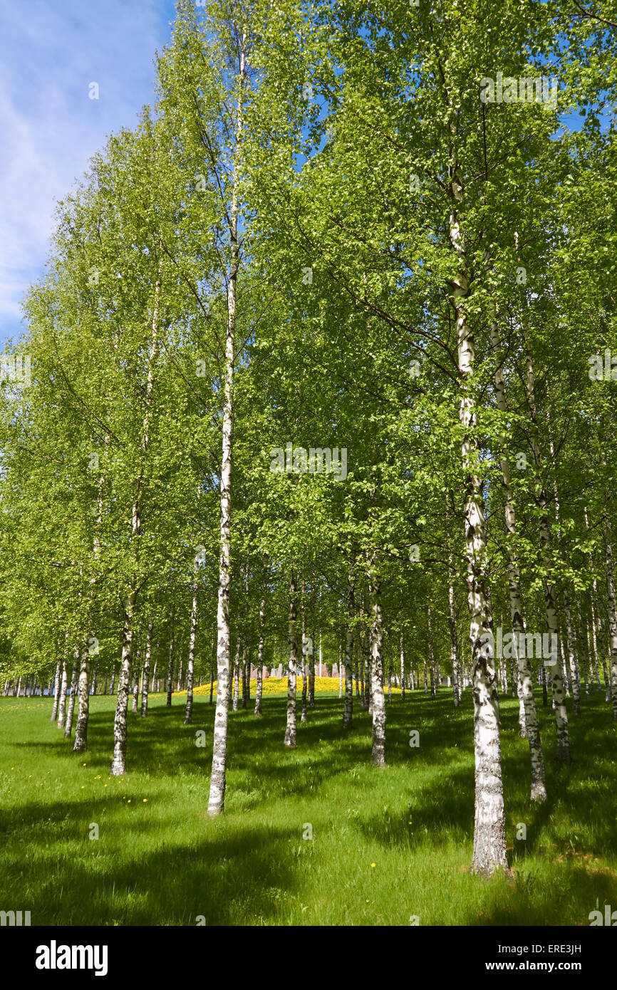 Sunny scenery hi-res stock photography and images - Alamy