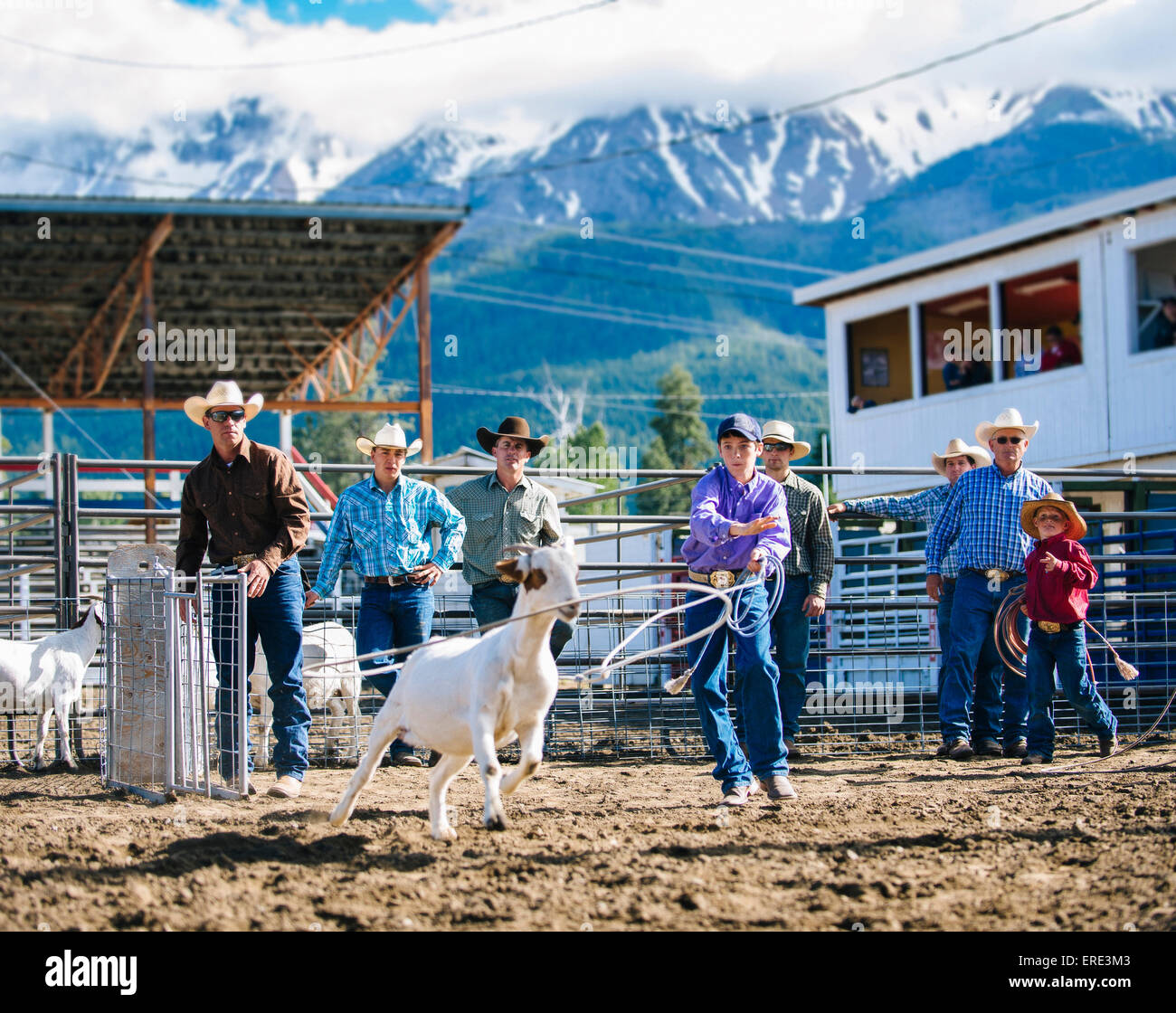 Cowboy throwing lasso hi-res stock photography and images - Alamy