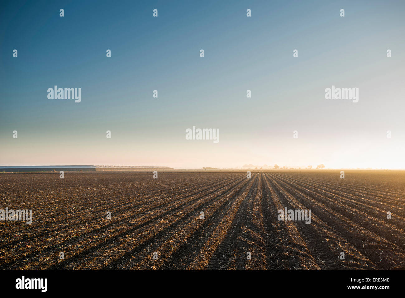 High angle view of farm crop fields under blue sky Stock Photo - Alamy