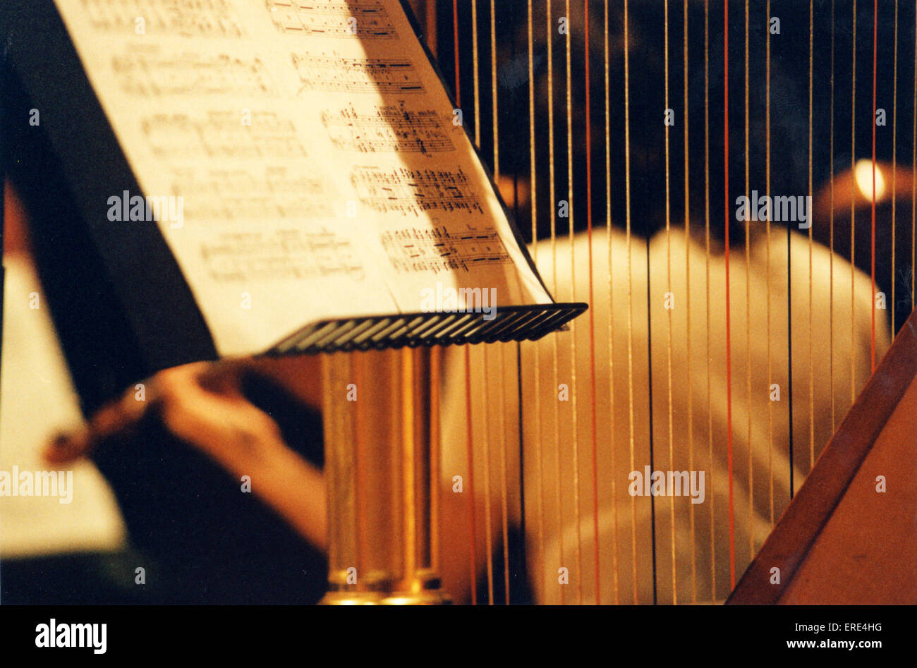View of violin player through harp strings. Score on music stand Stock ...
