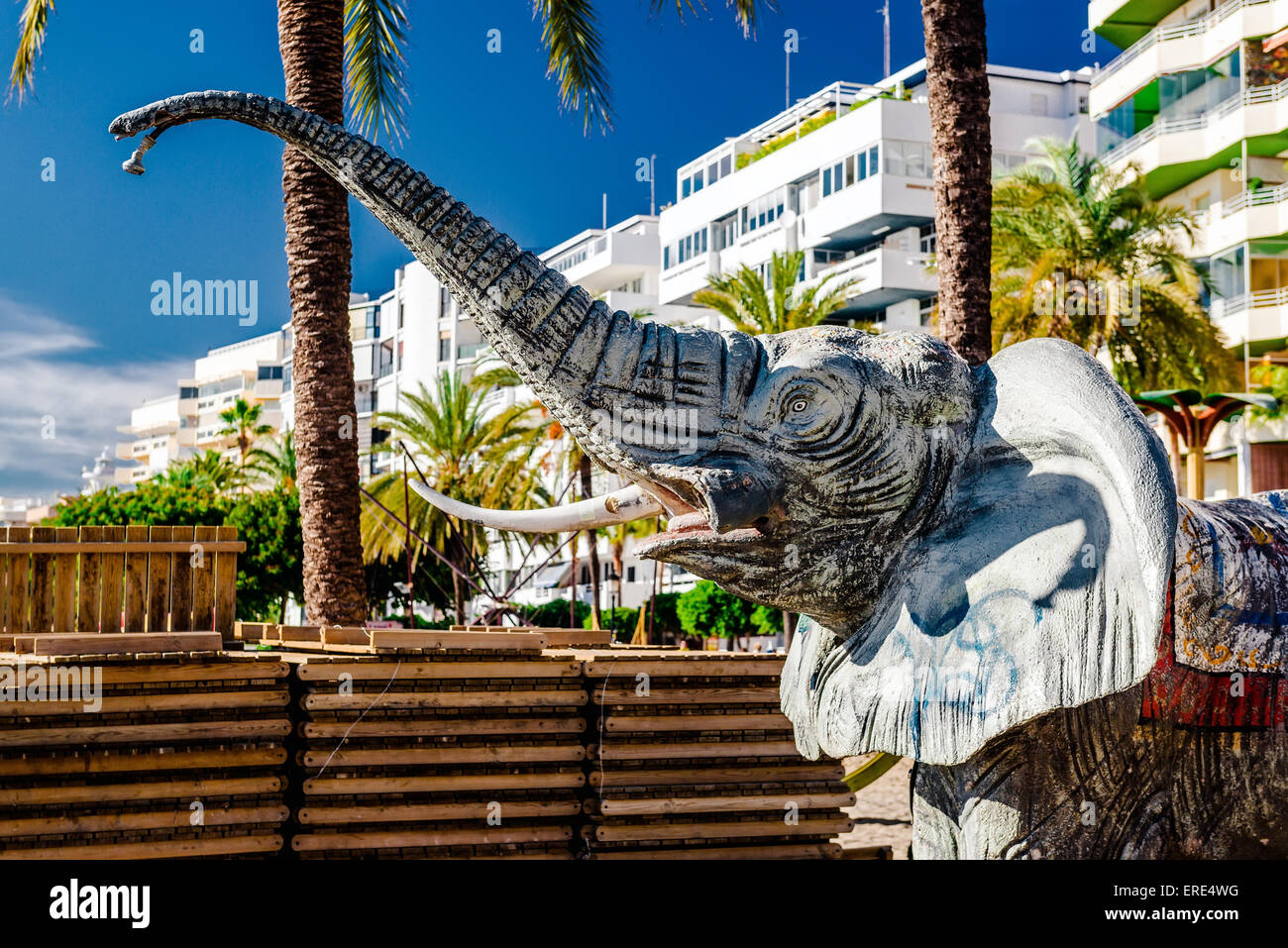 Elephant shower hi-res stock photography and images - Alamy