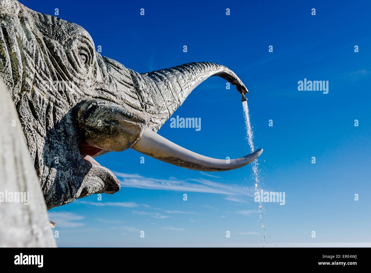 Elephant shower hi-res stock photography and images - Alamy
