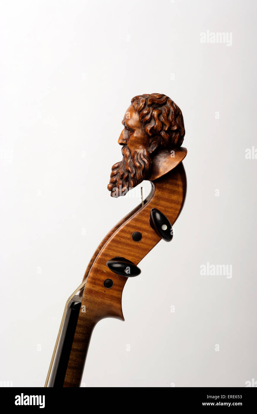 Viool Scroll Ontwerp