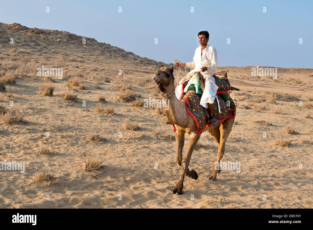 India, Rajasthan, Jaisalmer, camel ride desert Stock Photo - Alamy