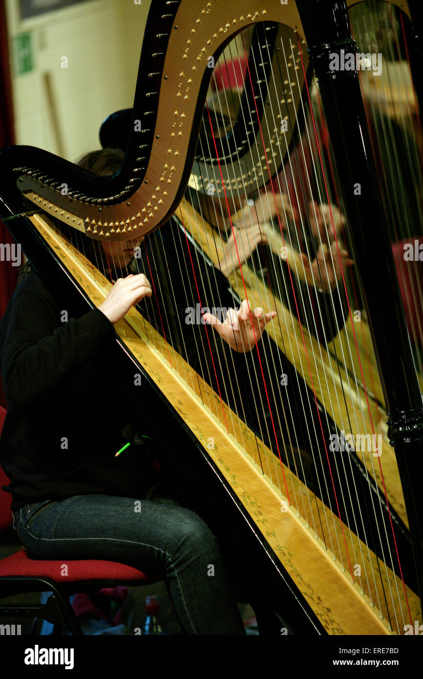 Harp player hi-res stock photography and images - Alamy