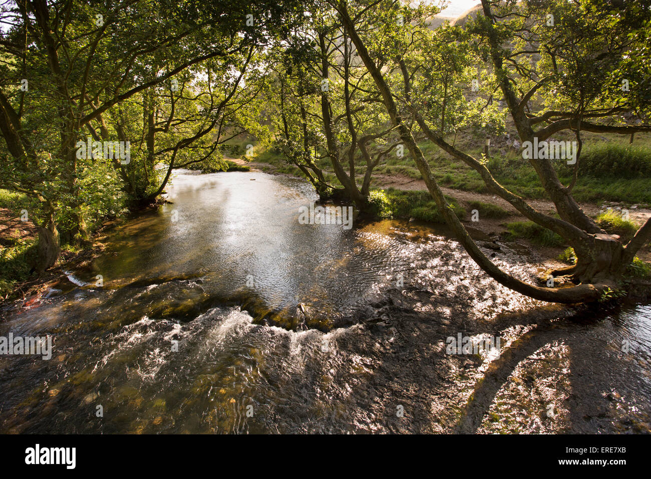 UK, England, Staffordshire, Ilam, Dovedale, River Dove Stock Photo - Alamy