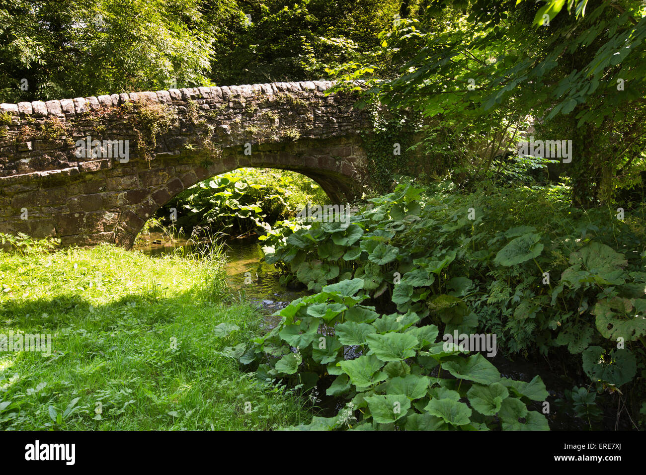 UK, England, Staffordshire, Dovedale, Viators old packhorse bridge over ...