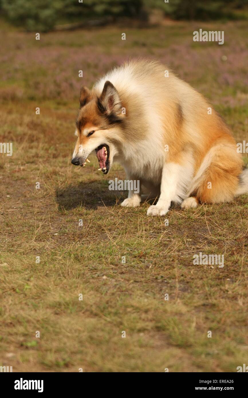 Disgorging High Resolution Stock Photography and Images - Alamy