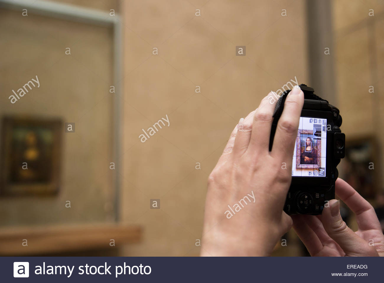 Francesco Del Giocondo Stock Photos & Francesco Del Giocondo Stock ...