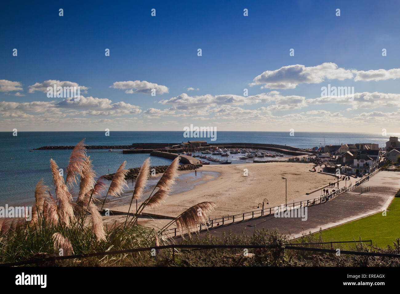 Cobb beach lyme regis dorset hi-res stock photography and images - Alamy