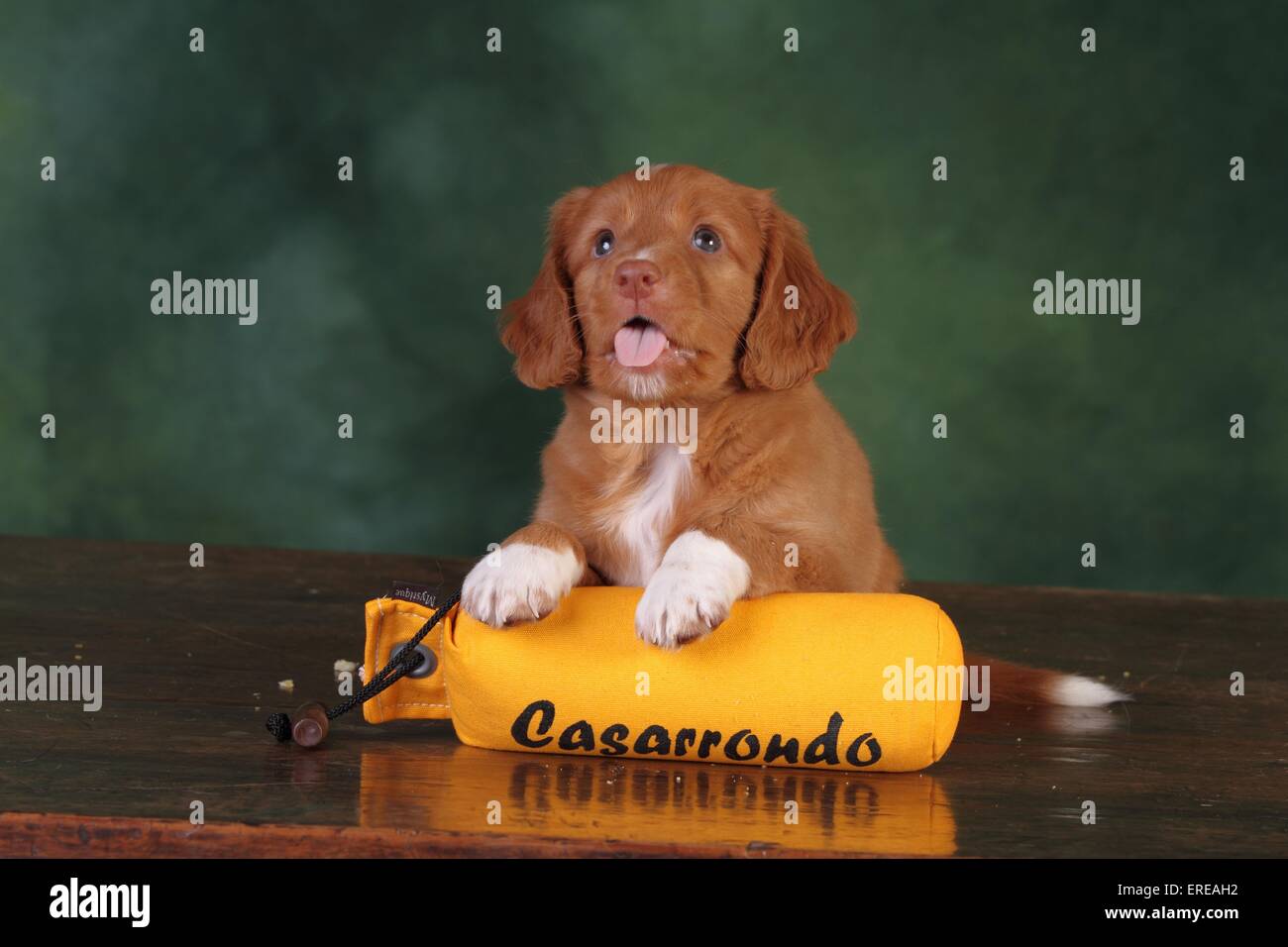 Baby sized dummy hi-res stock photography and images - Alamy