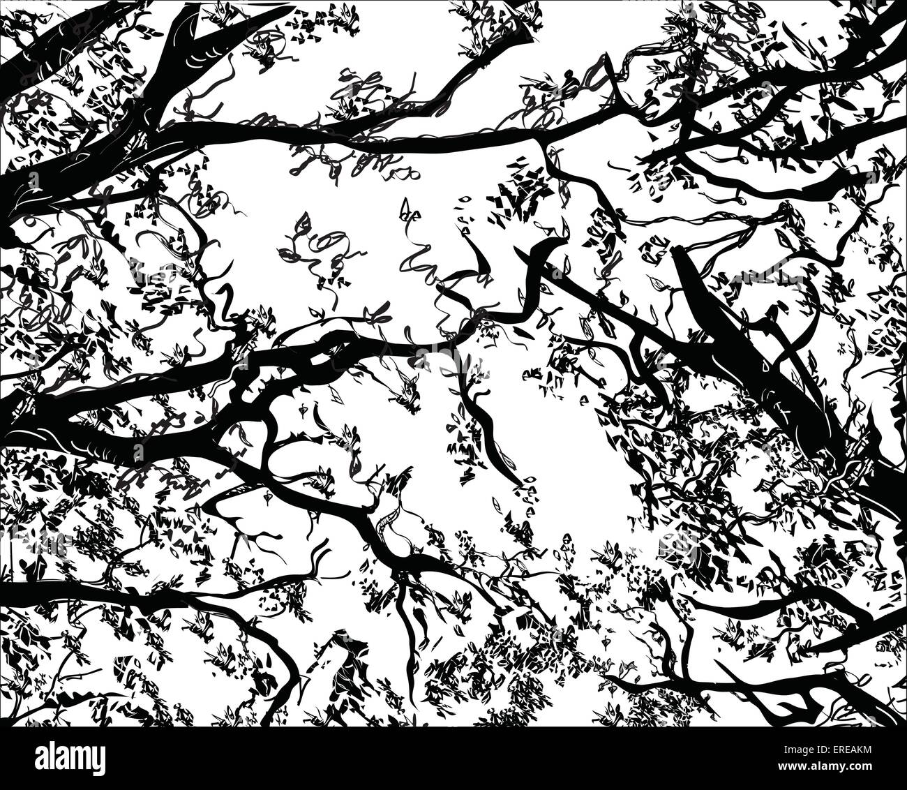 Trees with no leaves Stock Vector Images - Alamy