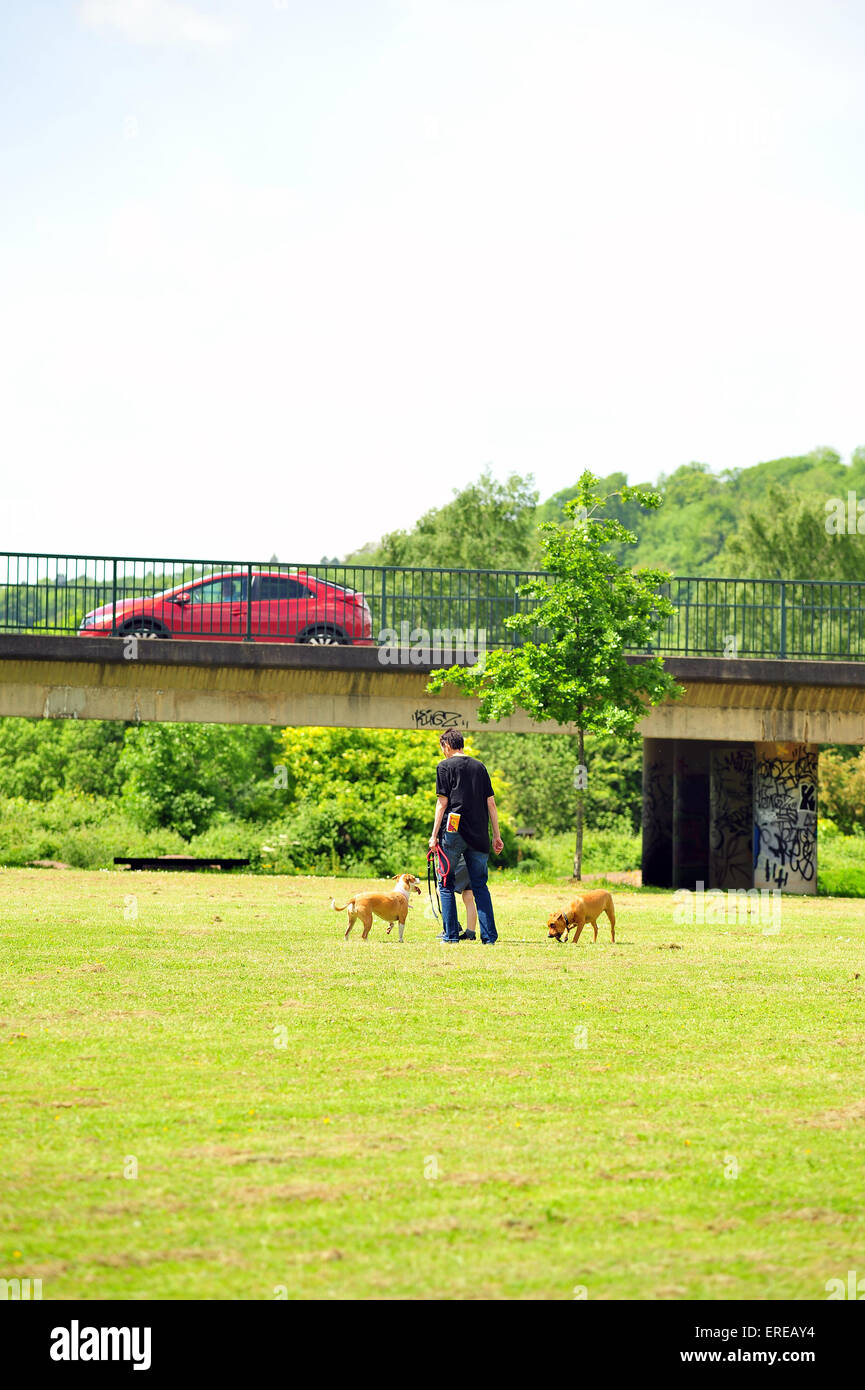 Family walking dog in bristol hi-res stock photography and images - Alamy