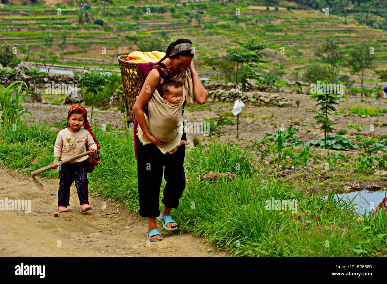 mother and children, farm, farming, jhoom farming, nagaland, baby in a ...