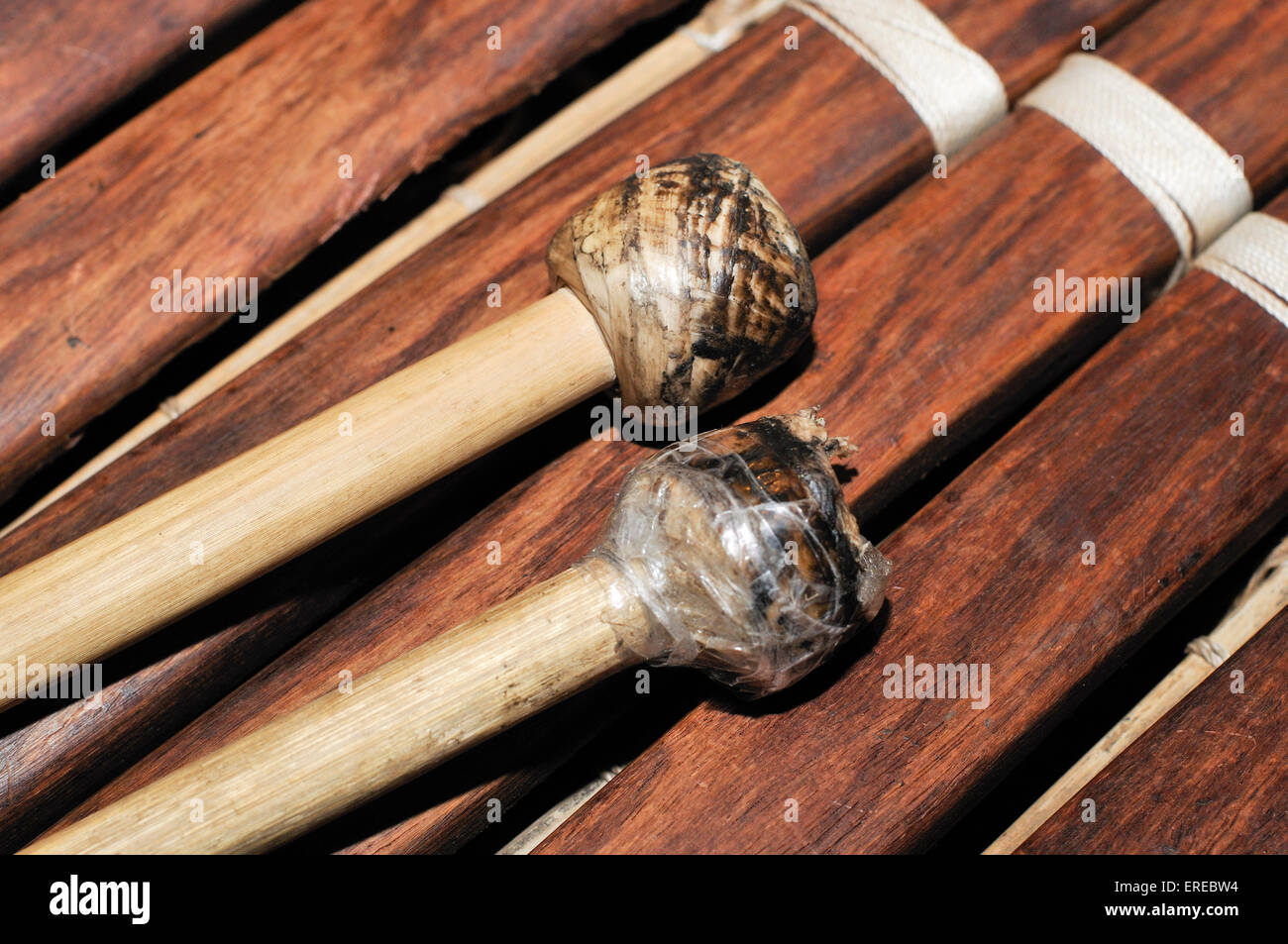 Mali africa instrument hi-res stock photography and images - Alamy
